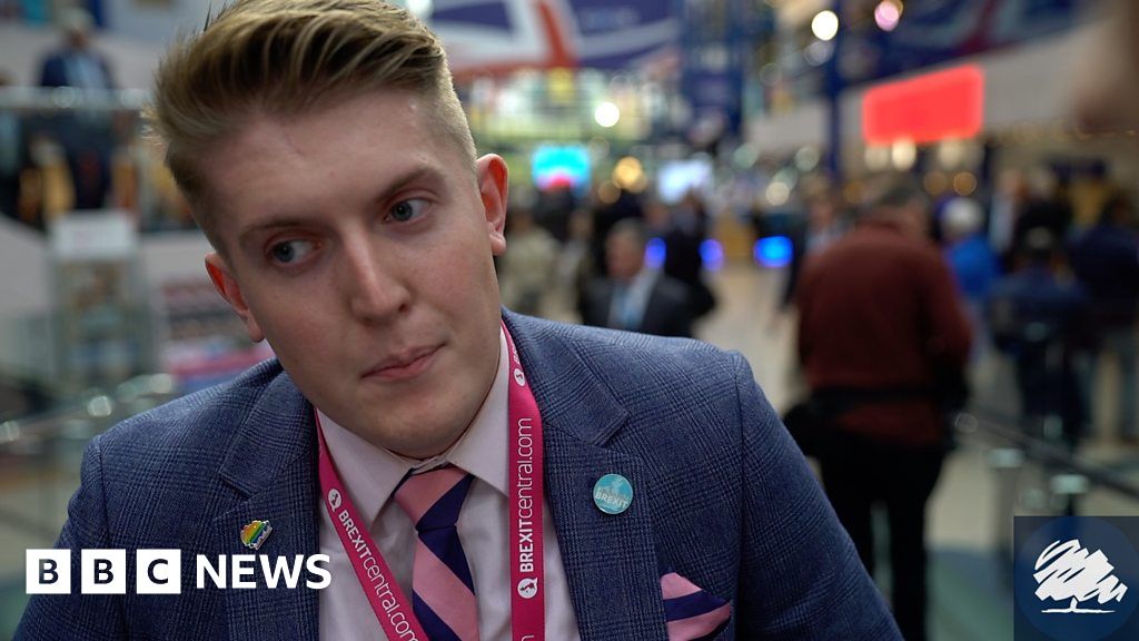 Labour or Conservative? What do voters think of each other? - BBC News