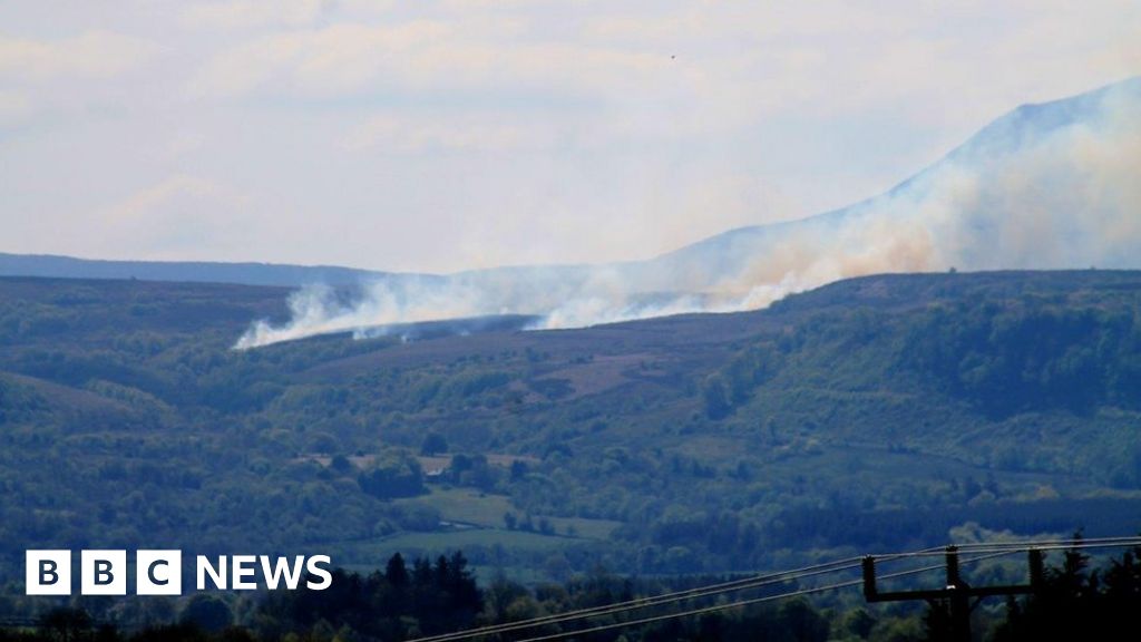 PSNI appeal after more than 200 deliberate gorse fires - BBC News