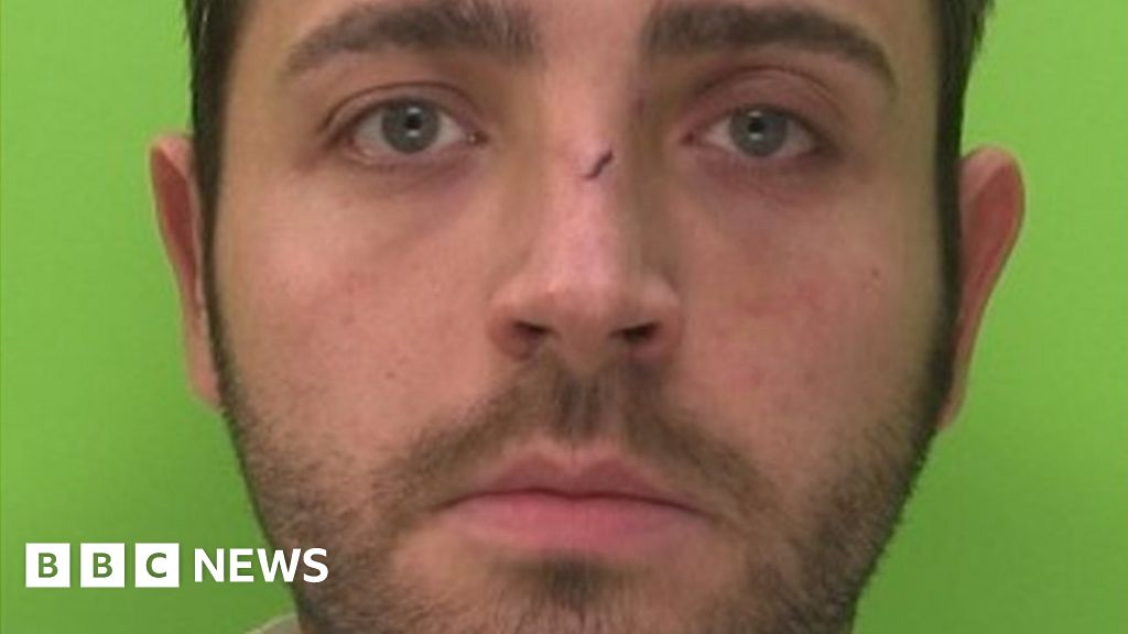 Thomas Burney jailed over Bryony Hollands crash death - BBC News