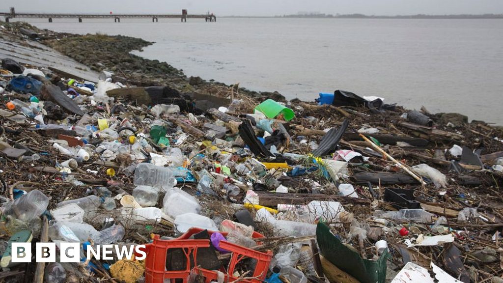 River Thames 'severely polluted with plastic' - BBC News