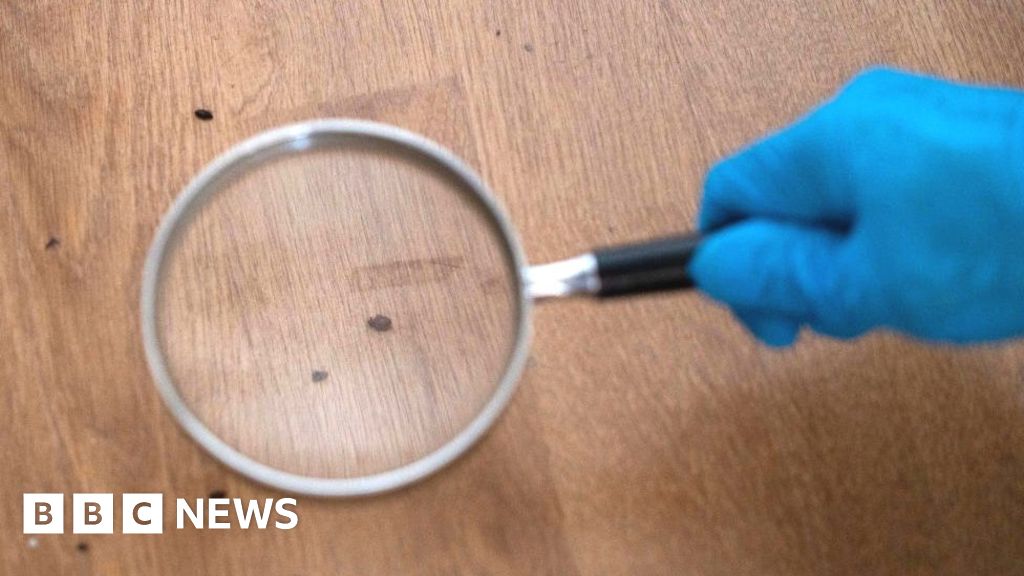 Bedbug gas: Woman denies killing girl with poison pellets - BBC News
