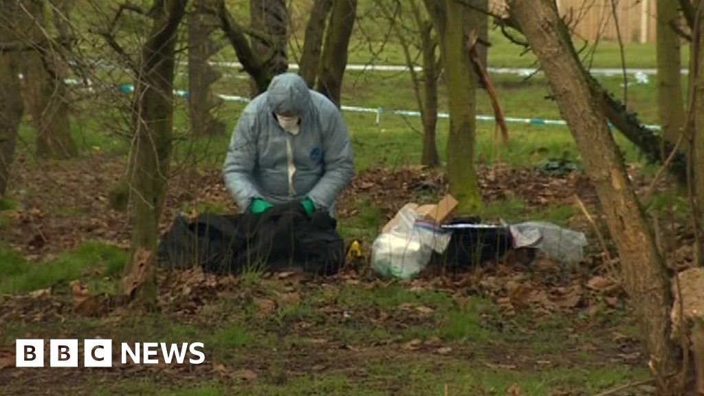 Random Dagenham park knife attack leaves woman fighting for life - BBC News