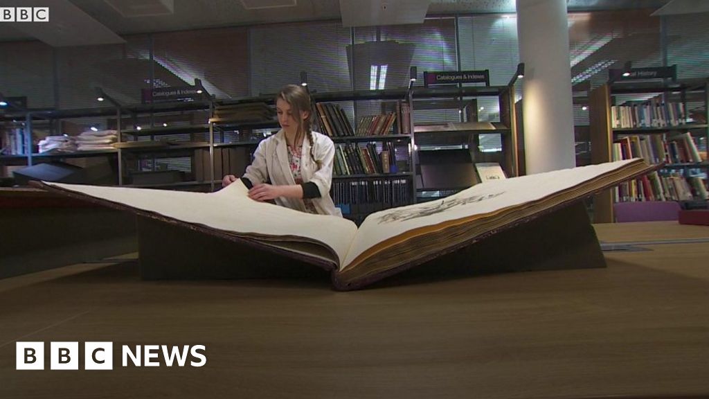 Rare Audubon bird book displayed at Liverpool library - BBC News
