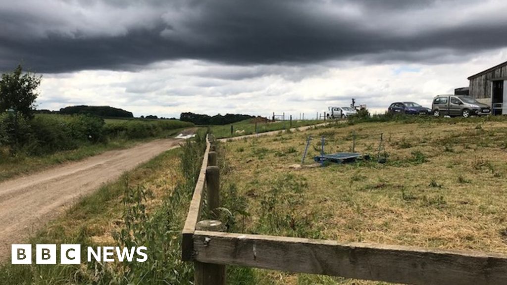Cows die in Leicestershire suspected farm poisoning - BBC News