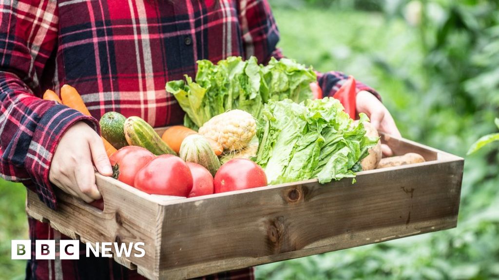 Seasonal worker scheme 'could tackle food labour problem' - BBC News