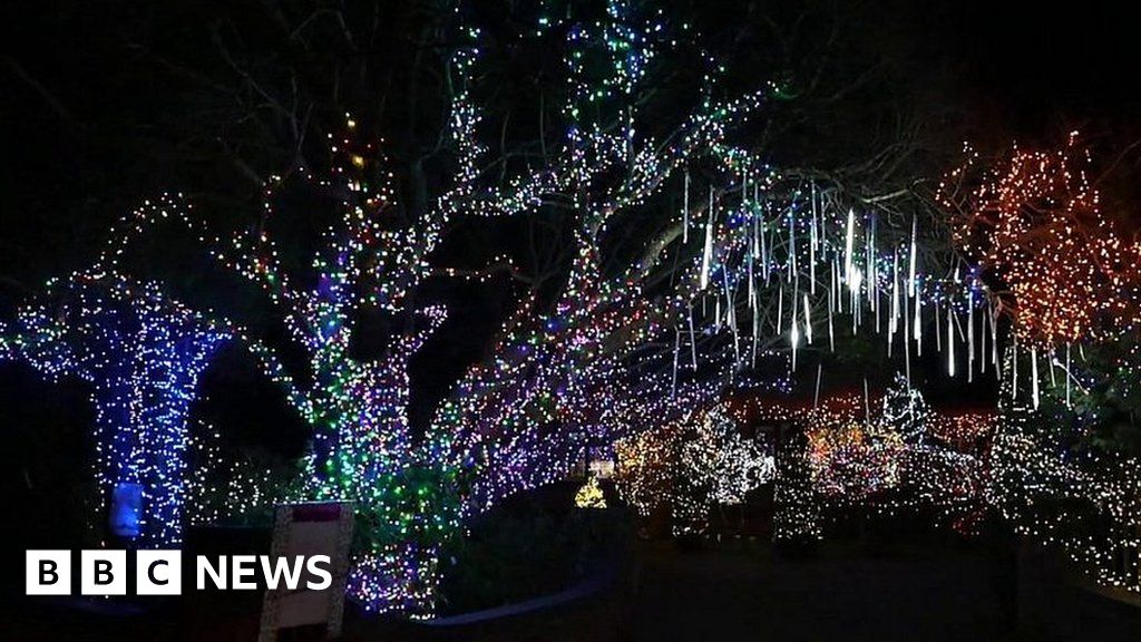 Wivenhoe couple's lights display spreads Christmas cheer