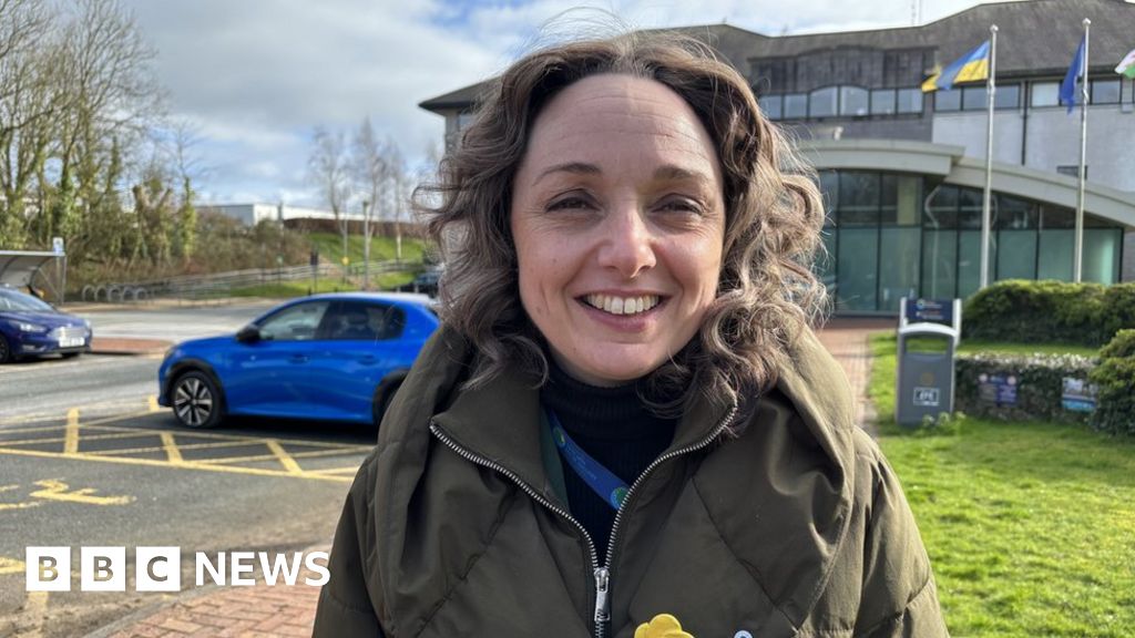 Tighten rules on political donations, says Plaid Cymru - BBC News