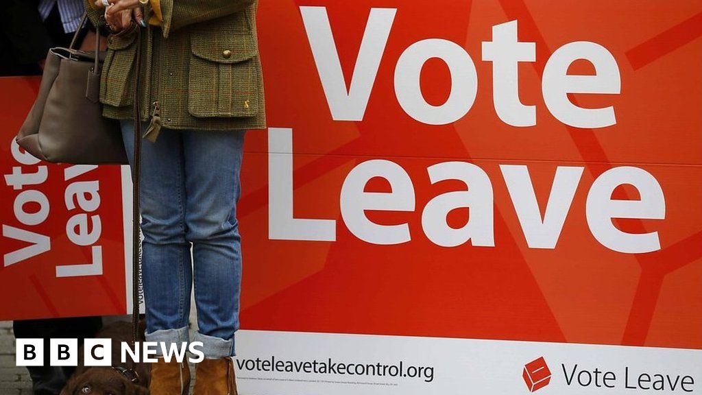 EU referendum: Who are the Leave campaign? - BBC News
