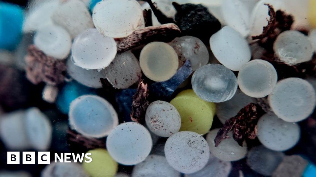 Volunteers collect 500,000 'nurdles' from beach at Bo'ness - BBC News