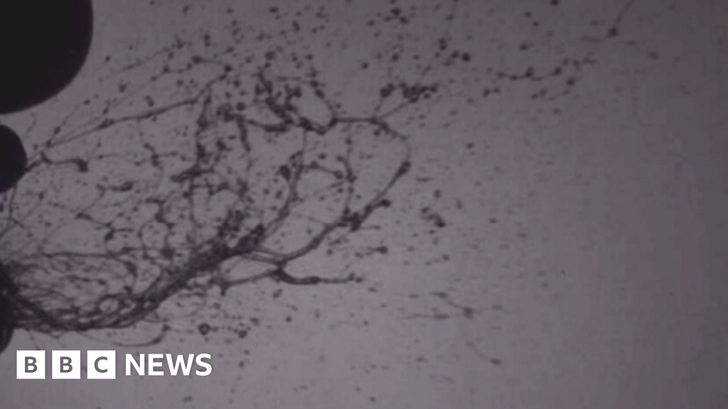 Capturing the fluid flow of sneezes - BBC News