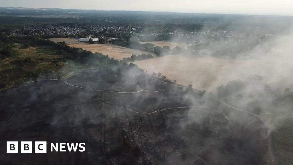 Drone footage captures Dorset heath fire damage - BBC News
