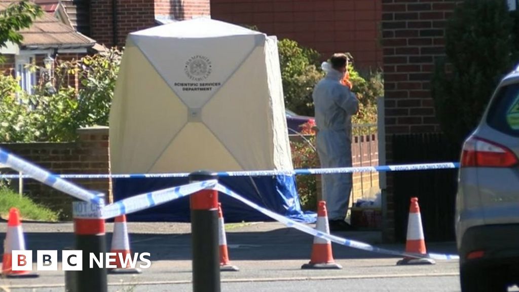 Basingstoke police arrest four more over 'targeted' fatal stabbing