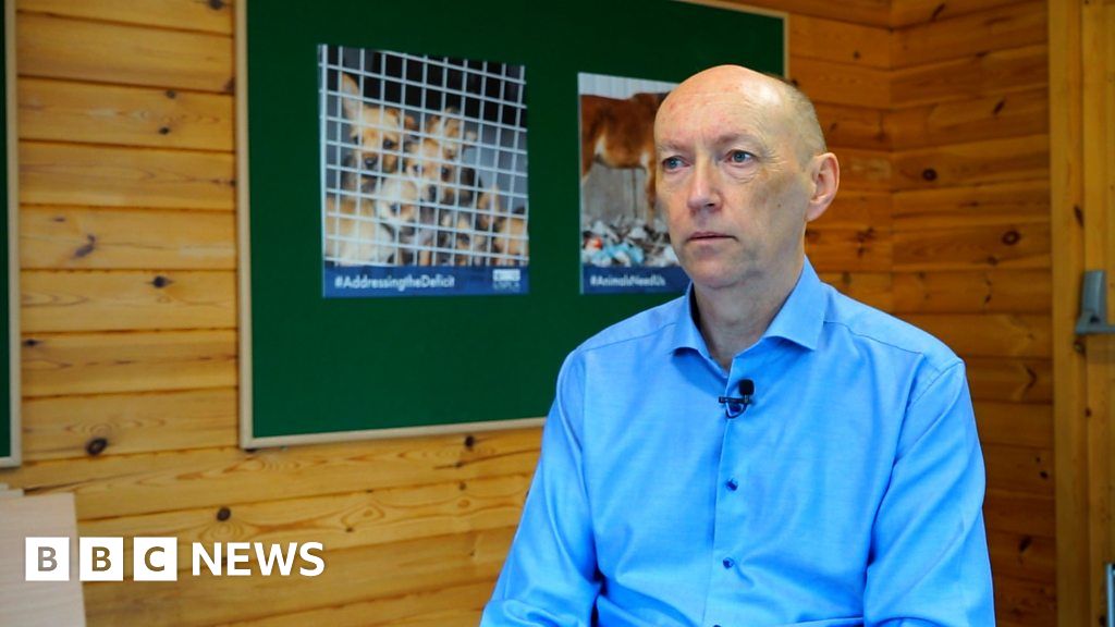 'Some animals seen as objects, not sentient beings' - BBC News