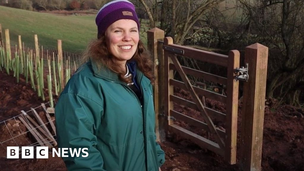 Hedges planted as Bodenham nature reserve prepares to open - BBC News