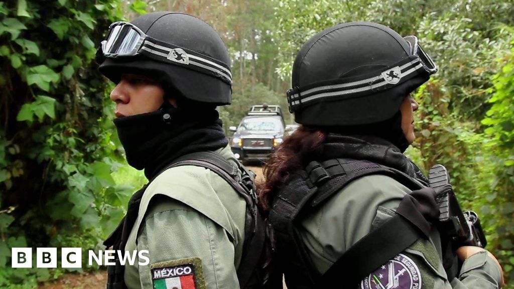 On patrol with Mexico's avocado police - BBC News