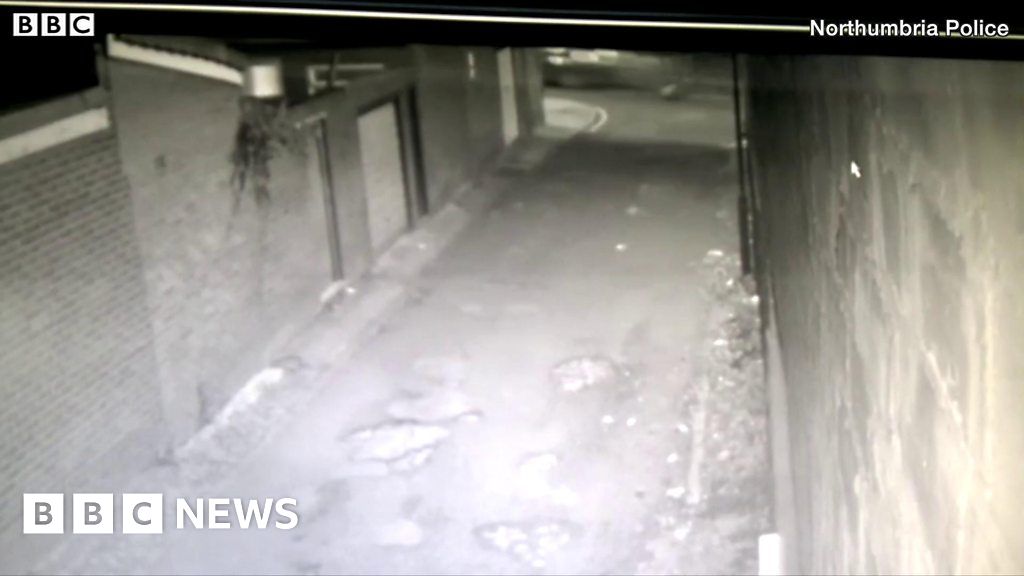CCTV released of 'horrific' Sunderland hit-and-run - BBC News