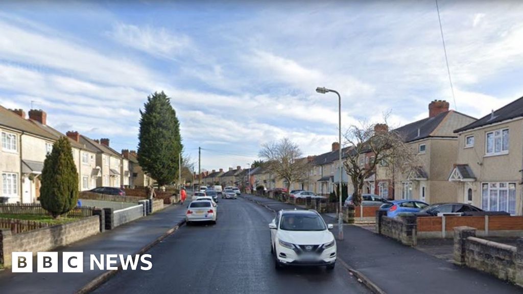 Police hurt as missiles thrown in 50-strong brawl in Wolverhampton ...