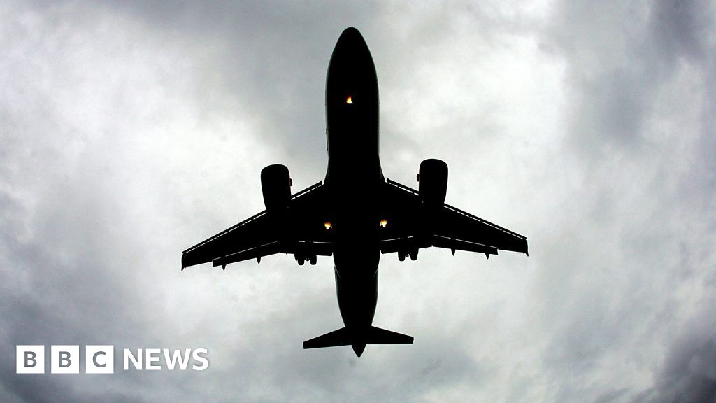 Incidents of bad behaviour on aircrafts reported daily - BBC News