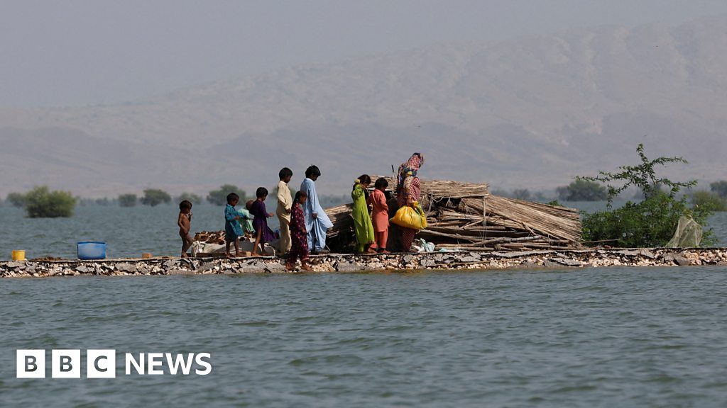 Watch: Workers race to stop Pakistan lake banks from bursting - BBC News
