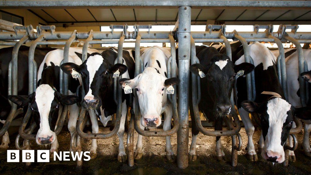 Why Justin Trudeau is fighting over milk - BBC News
