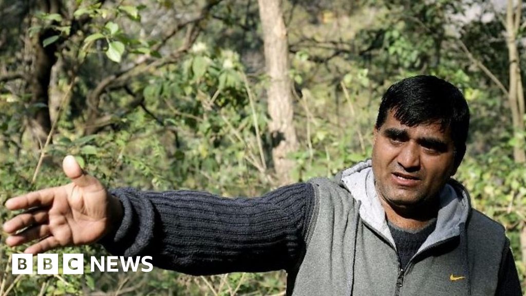 'I believe Jonathan is still alive' - BBC News