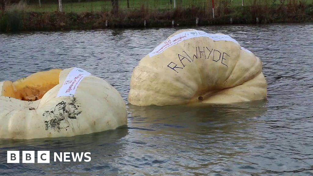 Record-breaking pumpkin turned into boat for race - BBC News