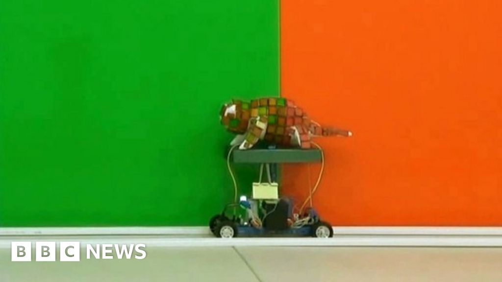 The robot chameleon that camouflages itself - BBC News
