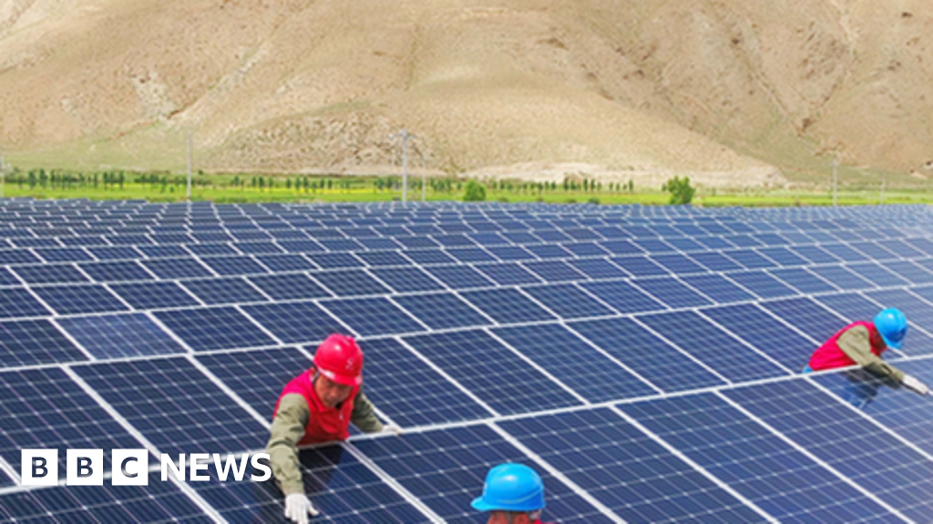 Climate change: Power companies 'hindering' move to green energy - BBC News