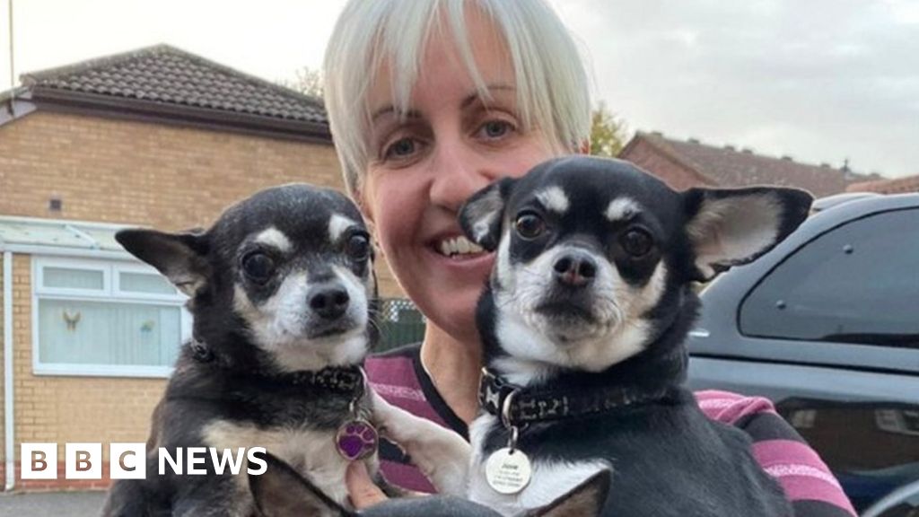 Nottinghamshire dog theft officer vows to 'stop owners' heartache ...