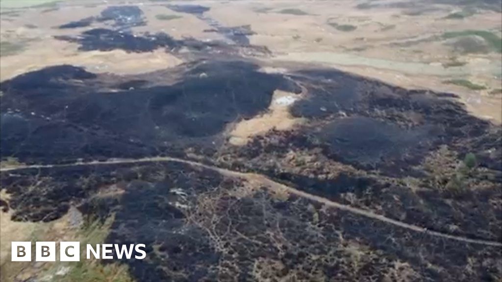 Drone footage shows Studland Heath fire damage
