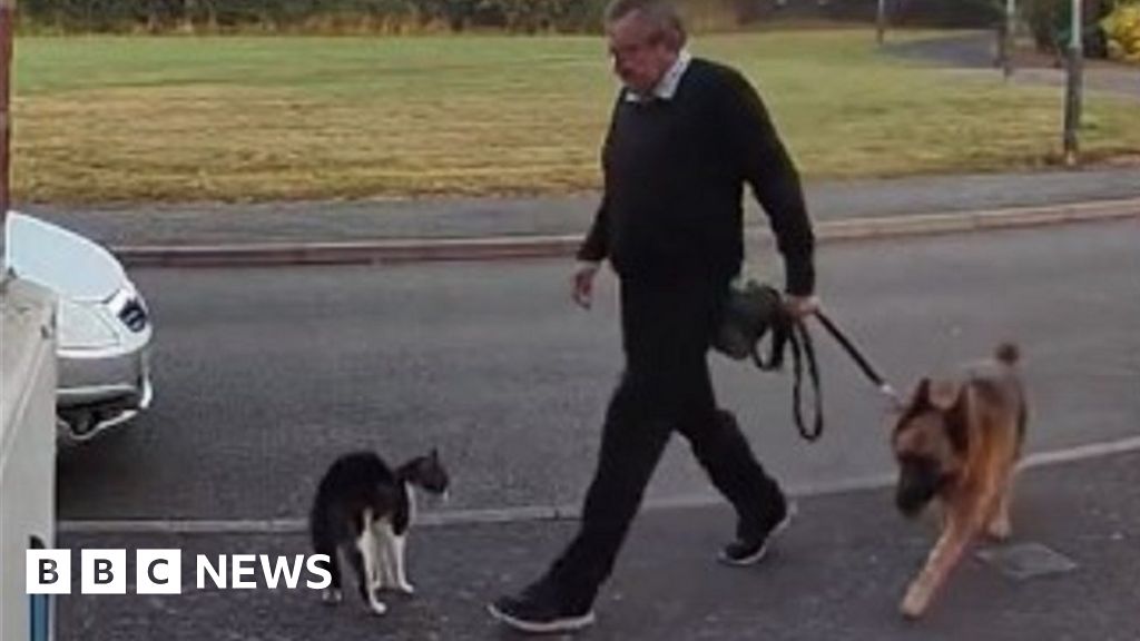 Man due in court after cat attacked in Leamington Spa street