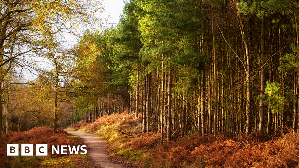 Cannock Chase parking fees frozen over cost of living