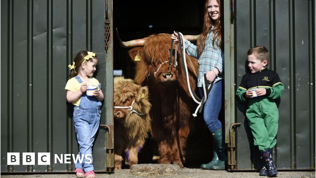 The 176th Royal Highland Show gets under way in Edinburgh - BBC News
