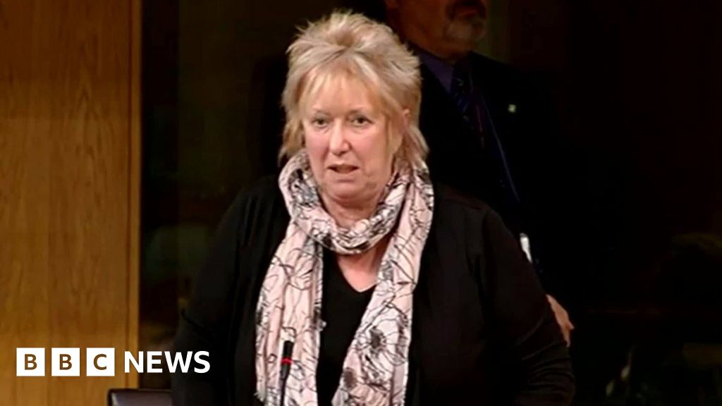 Christine Grahame says SNP MSPs 'should challenge government' - BBC News