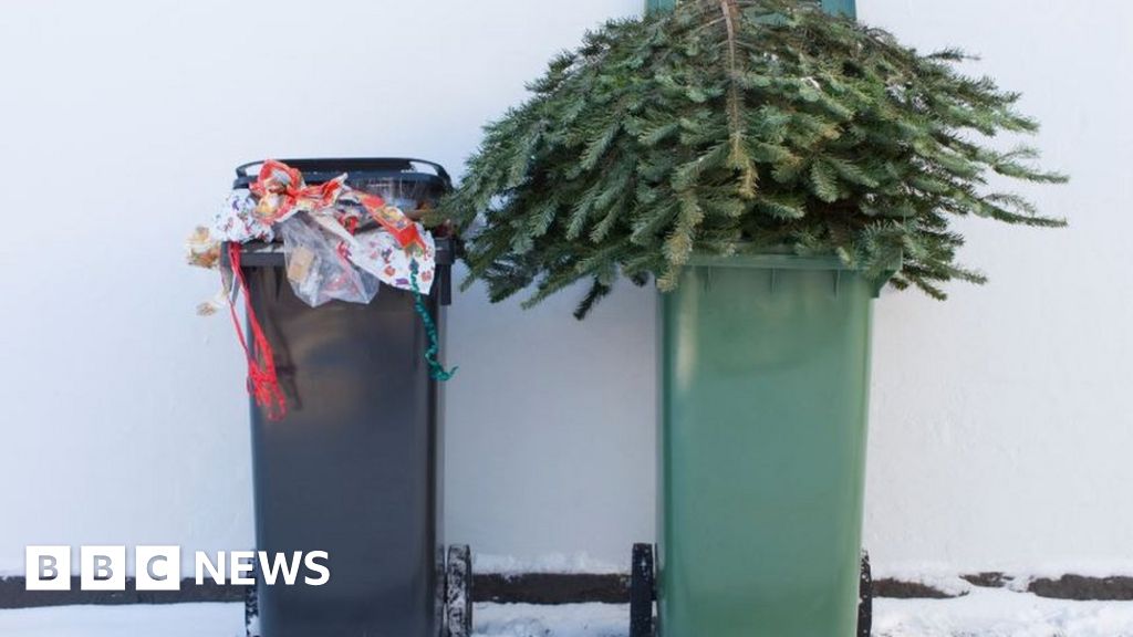 How can I recycle my real Christmas tree in Scotland? - BBC News