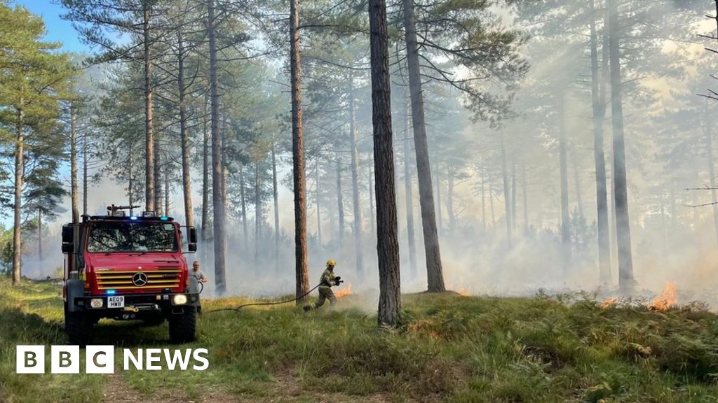 Wareham Forest: More heathland destroyed as fire breaks out - BBC News