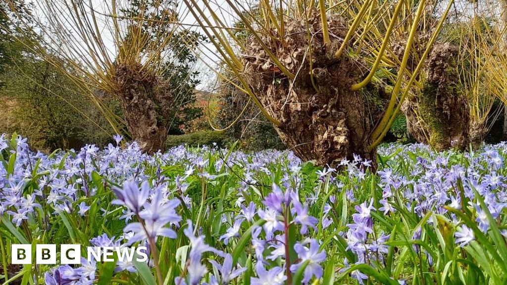 Oxfordshire's Big Picture: 18 March - 24 March 2024 - BBC News