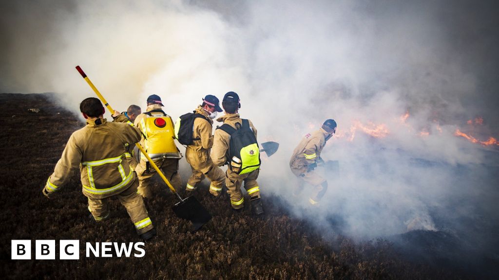 Mourne Mountains: Impact of fires still felt one year on - BBC News