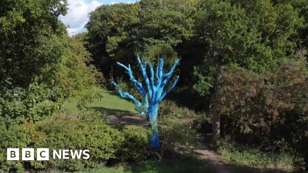 Grimsby: Blue tree sparks mental health conversation - BBC News