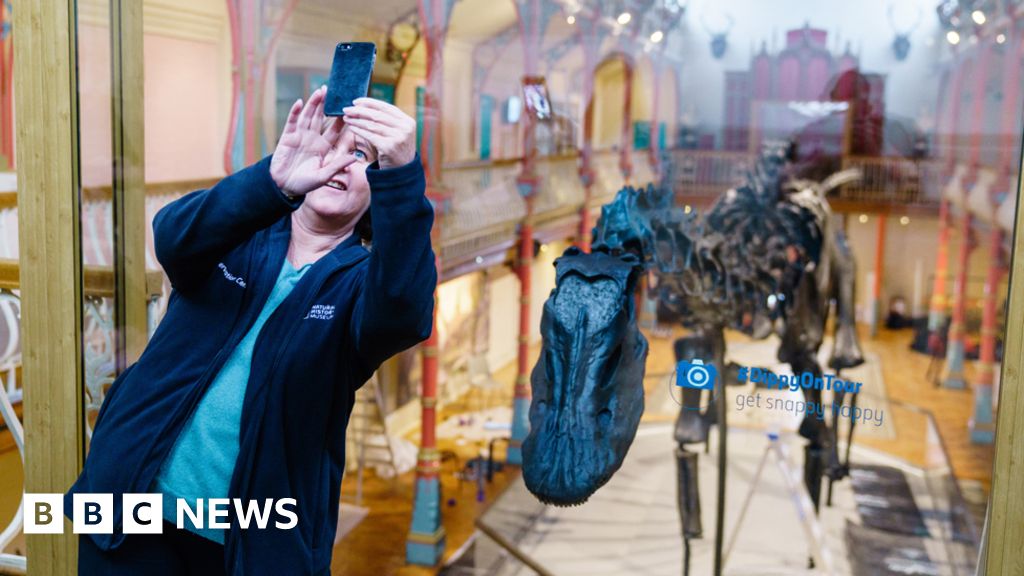 Dippy: 'The people's dinosaur' hits the road - BBC News