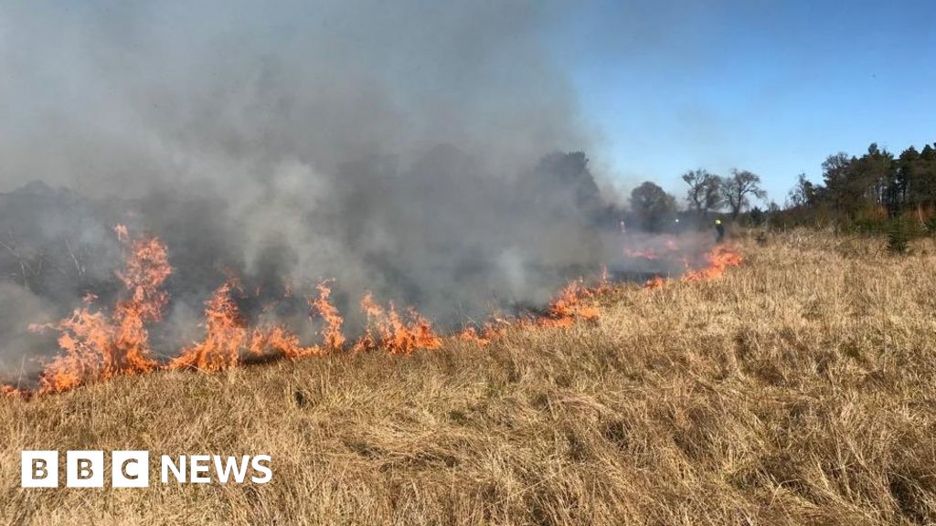 Fire crews tackle wildland blaze in Menstrie Glen