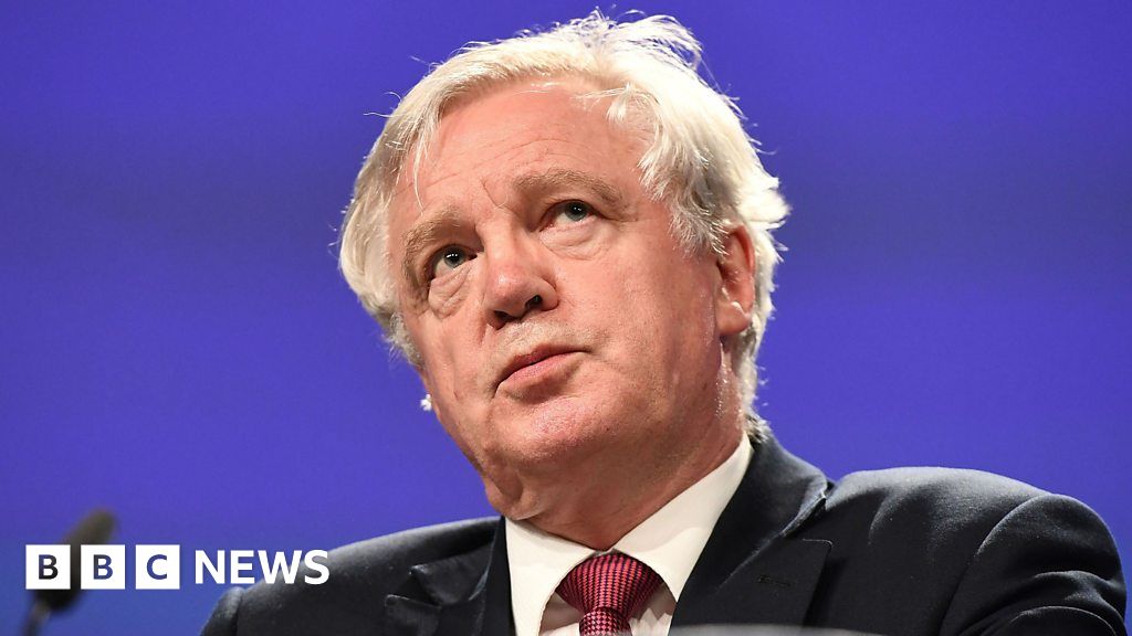 David Davis: Brexit is going 'incredibly well' - BBC News
