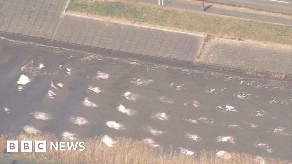 Japan tsunami waves push river upstream - BBC News