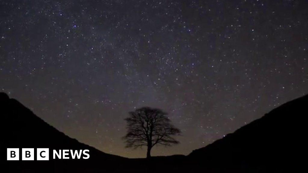 Northumberland celebrates three years of Dark Sky success - BBC News