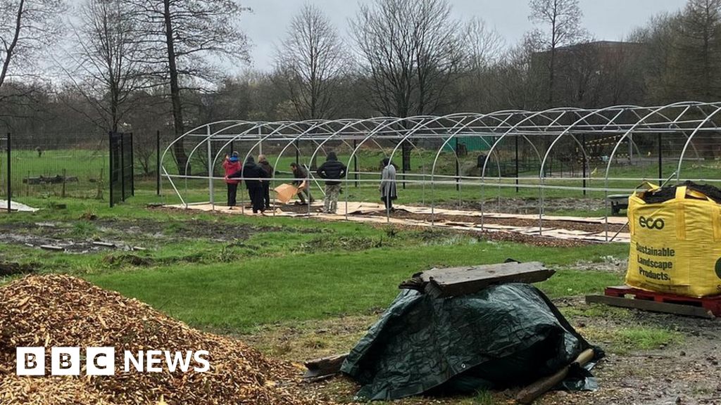 Northern Roots: First crops planted at UK's largest urban farm