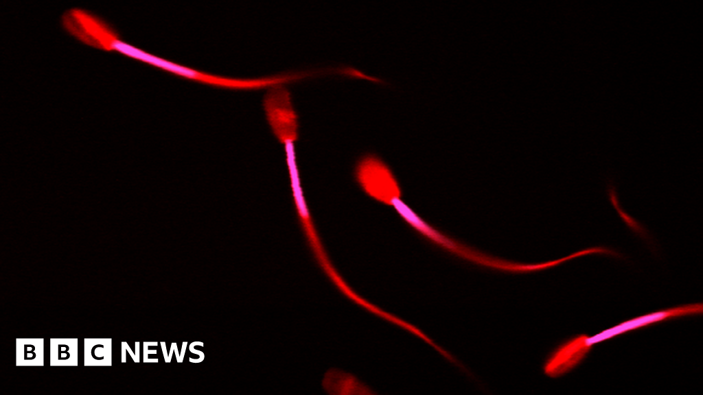 The future of contraception? Four ways it could change for you - BBC News