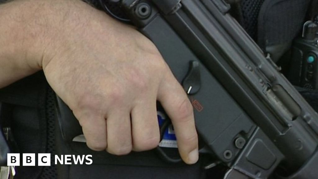 Review of police use of guns ordered by David Cameron - BBC News
