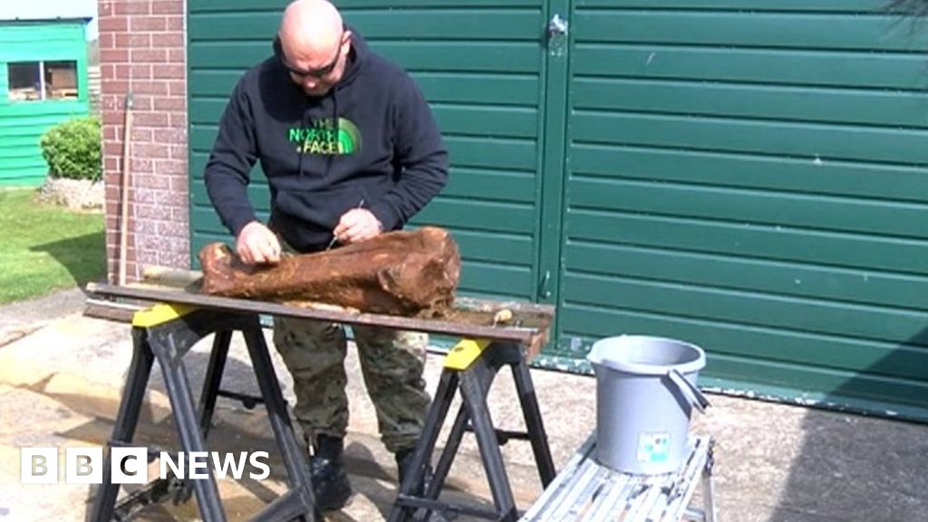 'Mammoth leg bone' found buried on Norfolk beach - BBC News