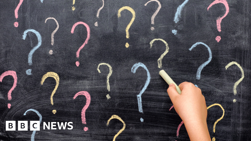 EU referendum: Words of wisdom from people in the know - BBC News