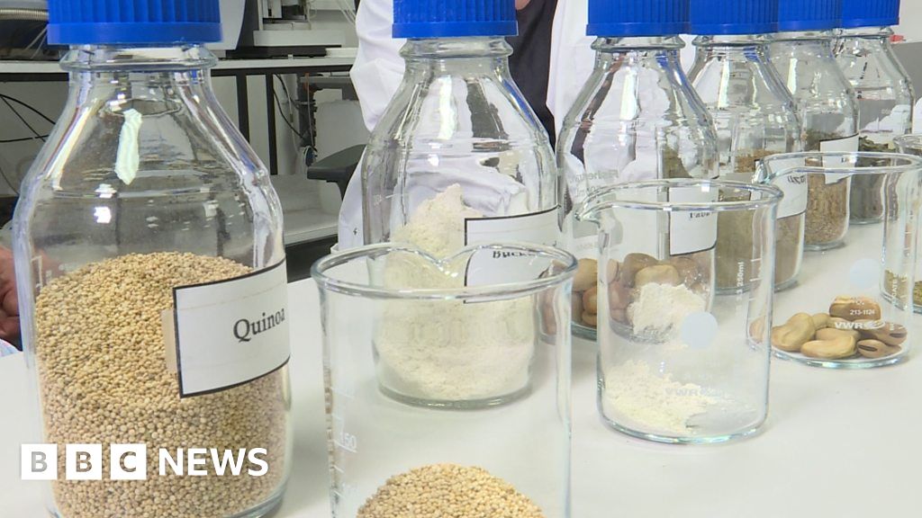 Rowett Institute food research centre officially opens - BBC News